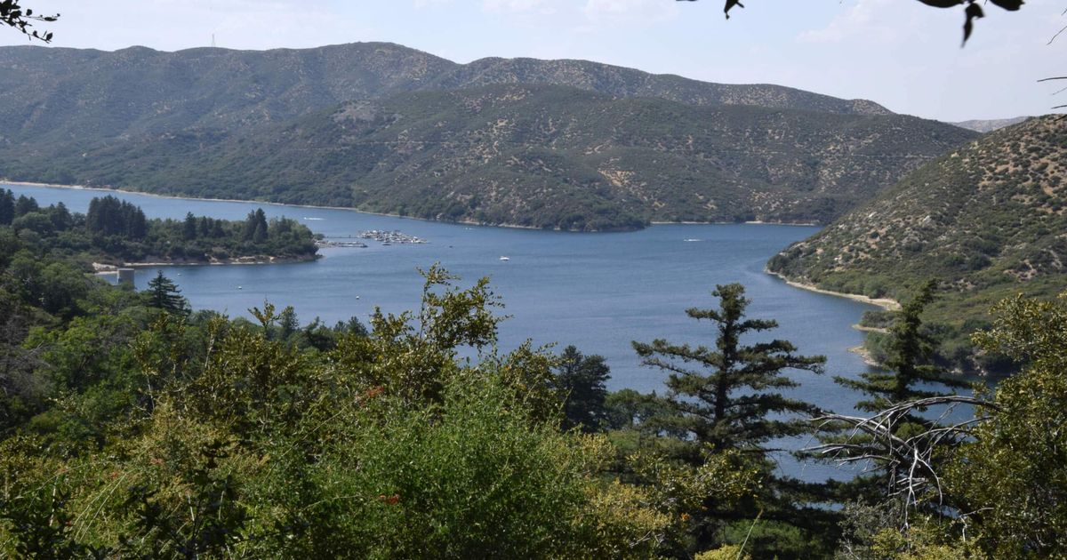 Cedar Springs Trail | San Bernardino National Forest, CA