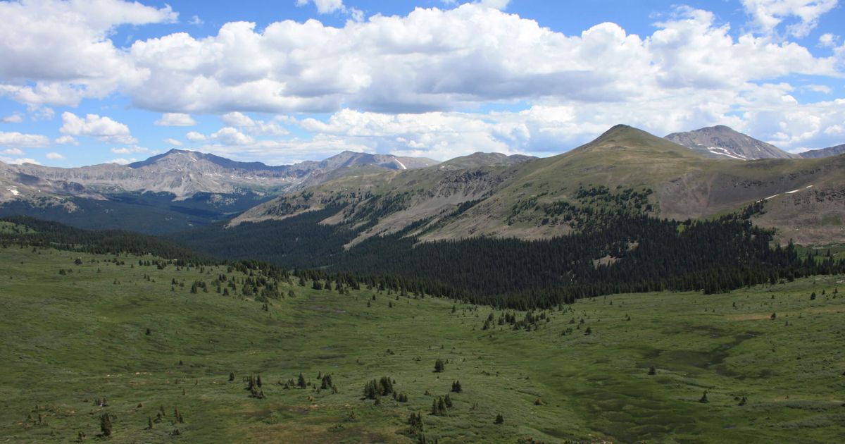 Collegiate Peaks Campground Hike | Trail Report and GPS