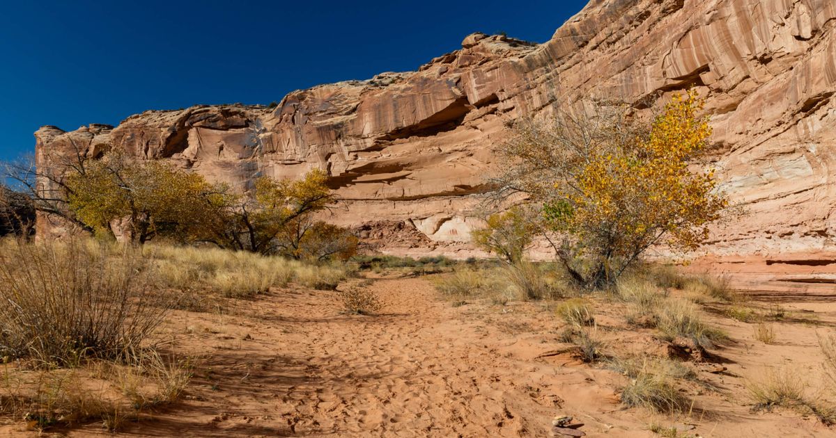 The Horseshoe Canyon Trail: An Ancient Gallery Walk