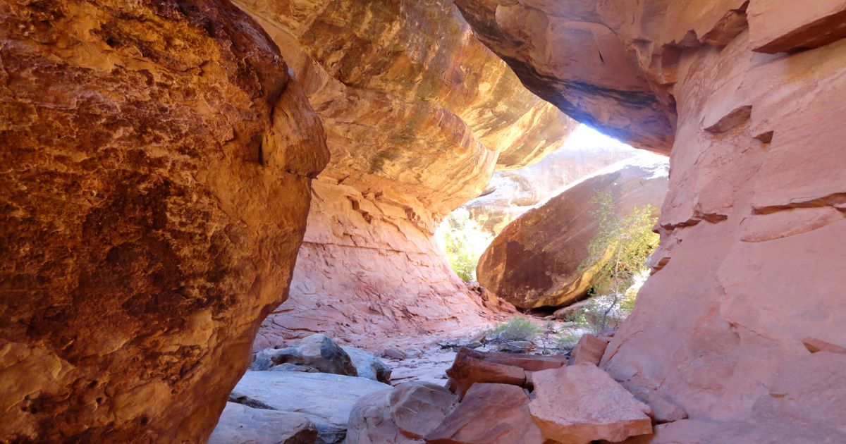 Joint Trail: A Uniquely Beautiful Trail in Canyonlands