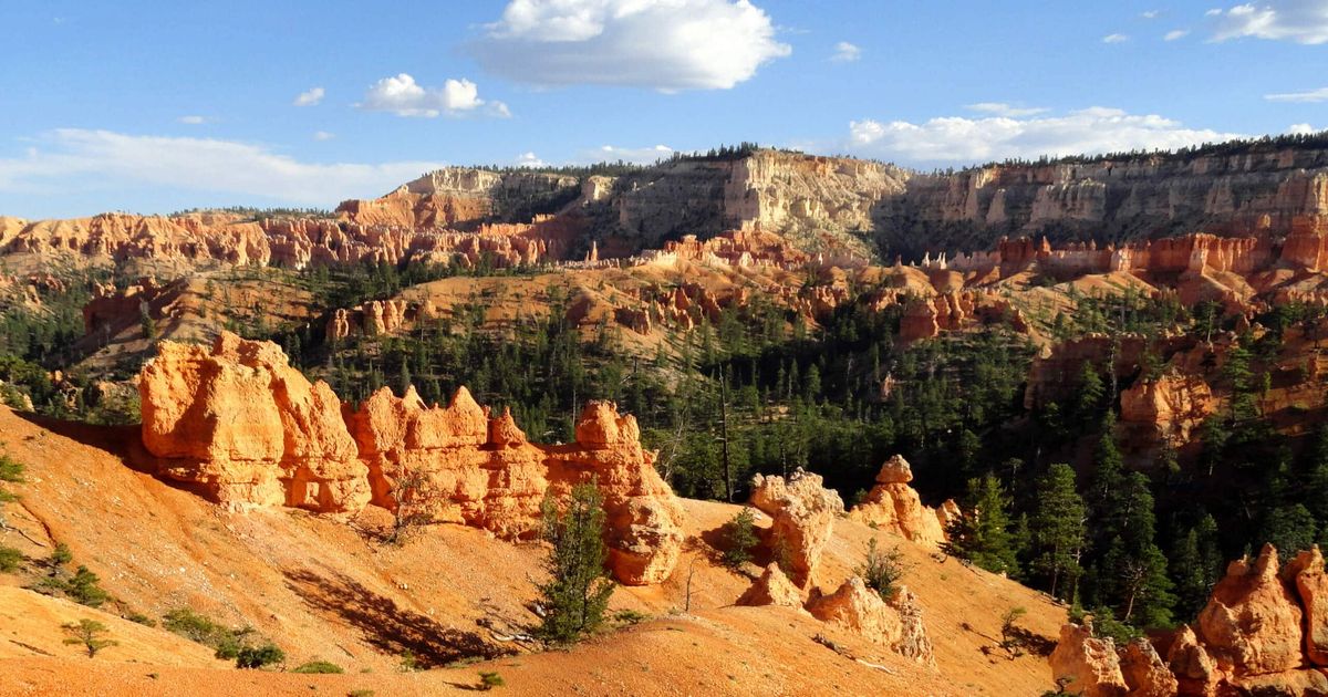 The Figure Eight Trail: A Grand Tour of Bryce Canyon