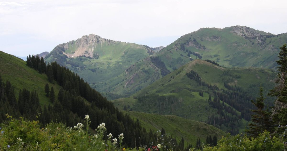 Desolation Lake and Dog Lake Loop via Wasatch Crest Trail