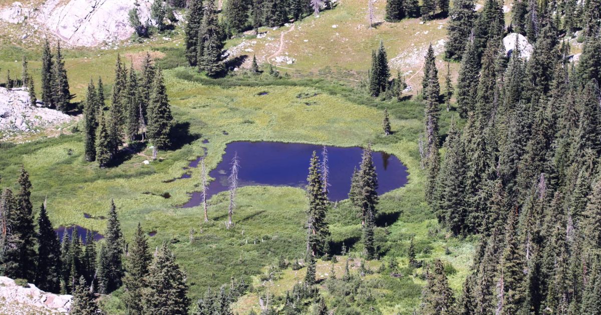 Dog Lake via The Big Water Trail: Dog-Friendly Hiking