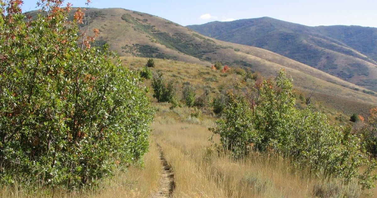 The Emigration Canyon Miners Trail: Hiking in Utah