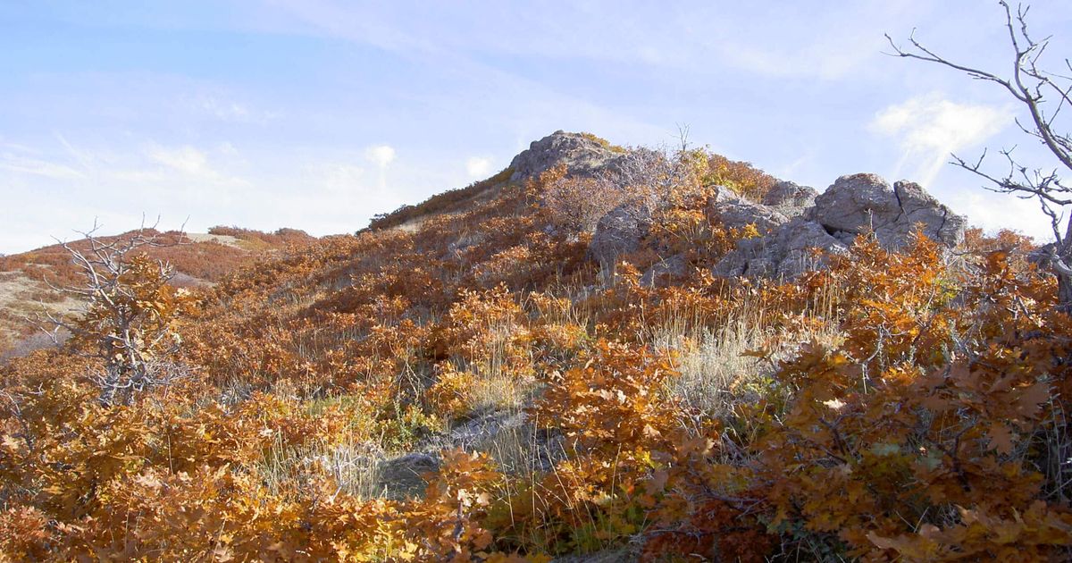 The Mount Van Cott Hiking Trail: A Scenic Study Break