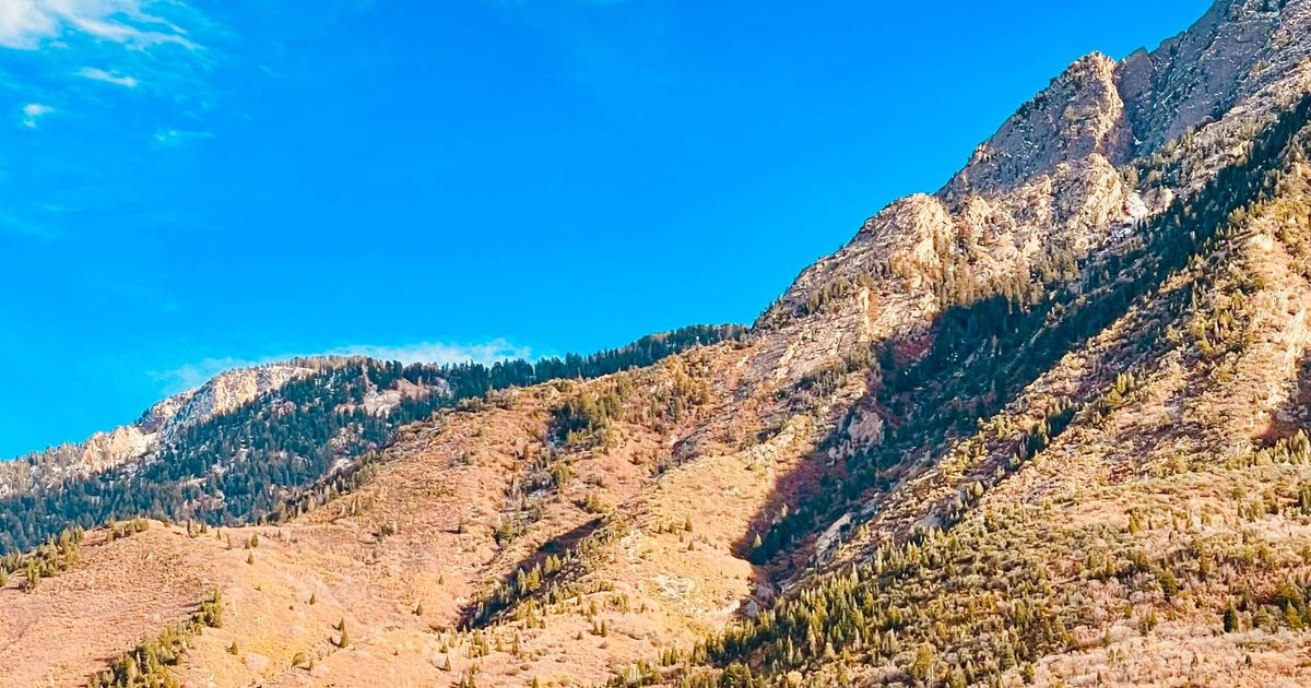 Olympus Hills Park: A Family Friendly Stroll in Holladay