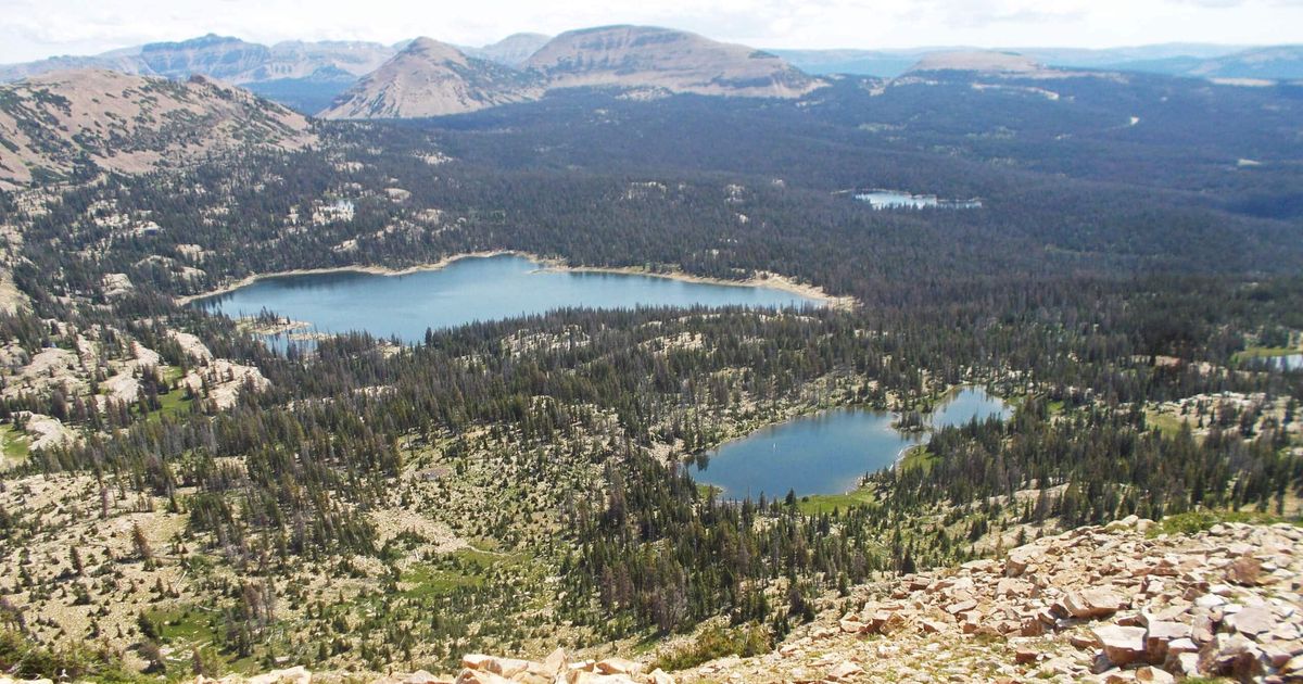 The Crystal Lake and Watson Lake Trail: Dog-Friendly Hiking