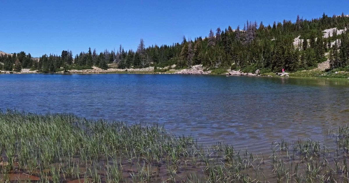 The Ruth Lake, Lofty Lake, and Scout Lake Hiking Trail