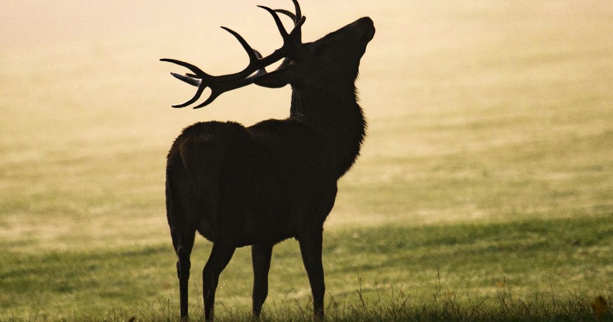 Why Should We and How Can We Keep the Outdoors Wild