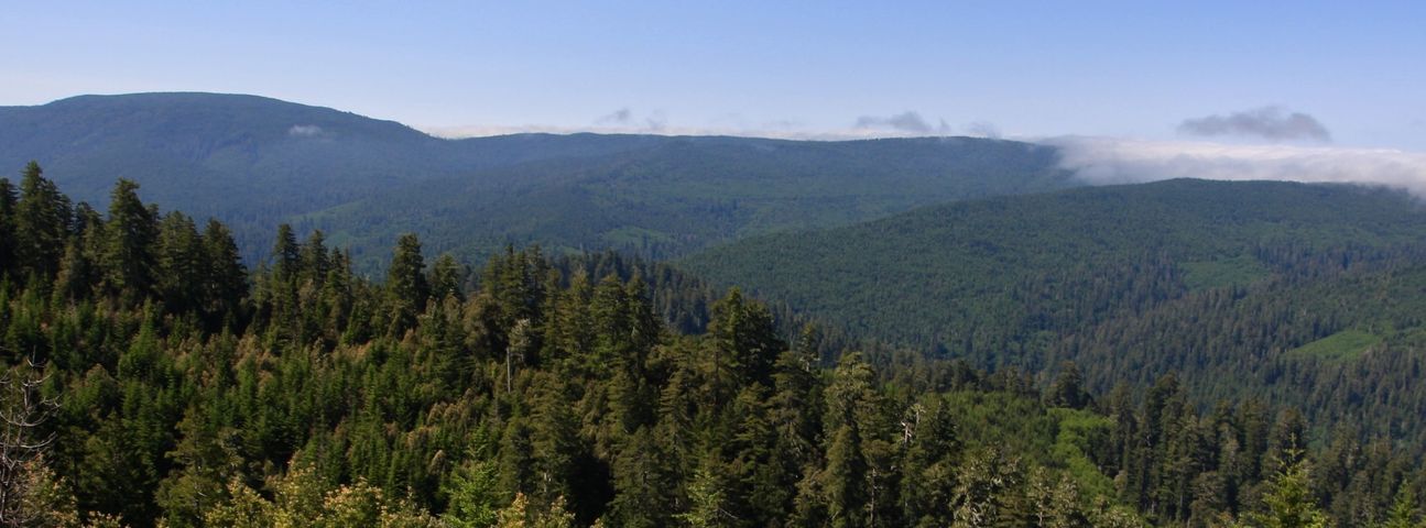 Redwoods National and State Parks | Greatest Hiking Routes