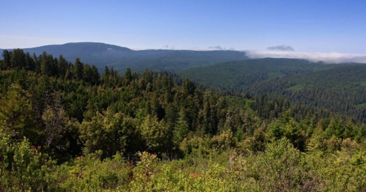 Redwoods National and State Parks | Greatest Hiking Routes