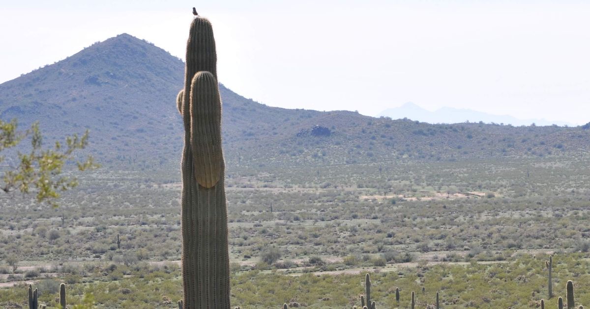 Apache Wash Trail – Hiking and Mountain Biking Route