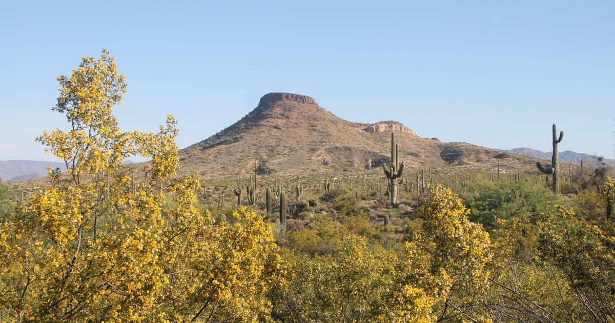 Brown's Ranch Perimeter Loop | Hike, Run, Mountain Bike