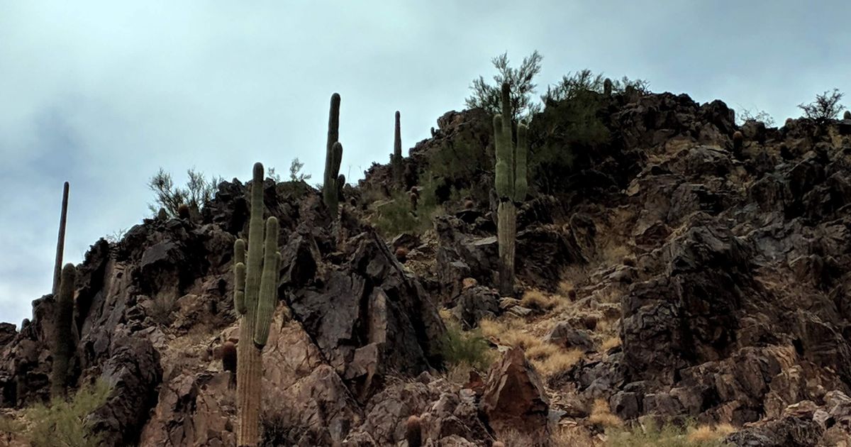 Hiking the Ruth Hamilton Trail in Phoenix Mountain Preserve