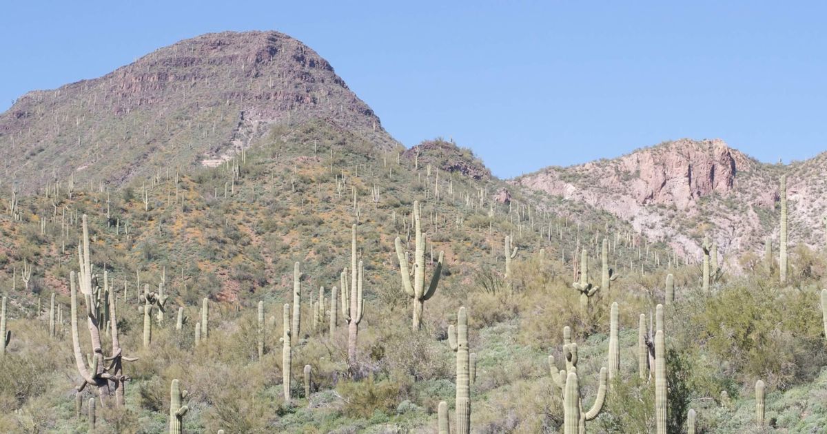 Skull Mesa Trail | 11.3-Mile Hiking and Backpacking Route
