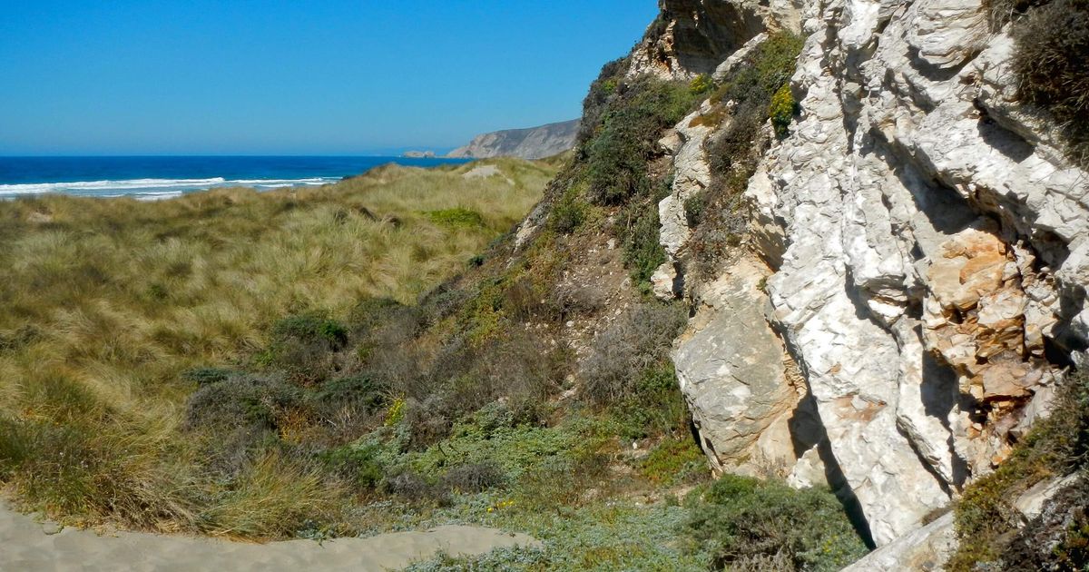 Kehoe Beach Trail | A Fun Family Adventure in Point Reyes
