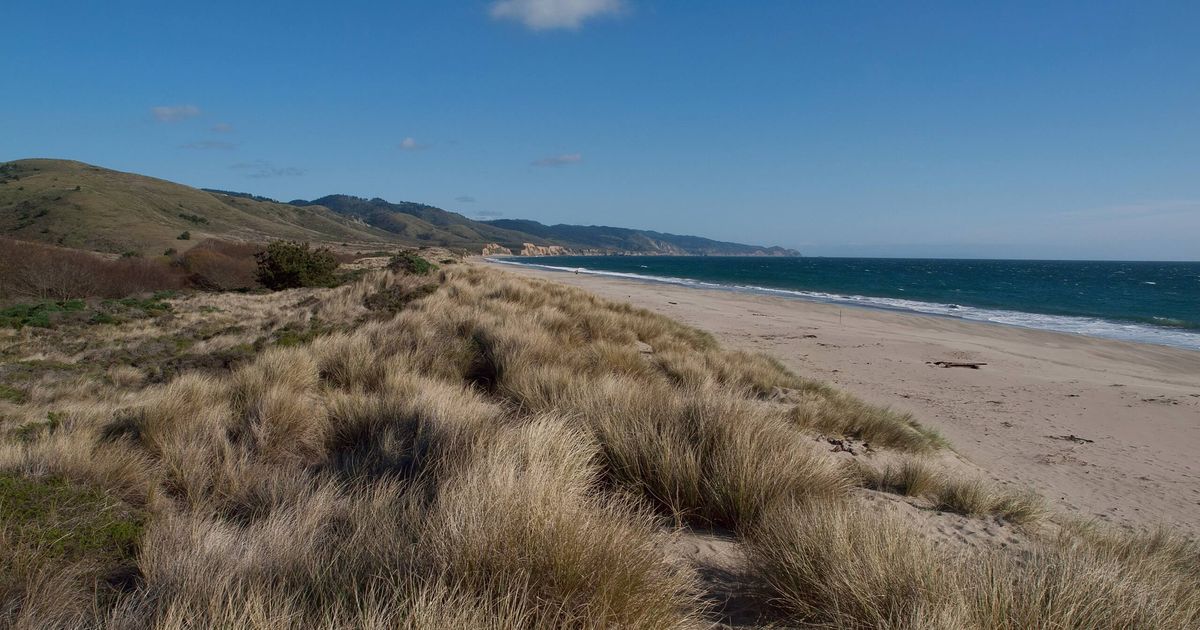 Limantour Beach Trail | Meander along the Sandy Beach