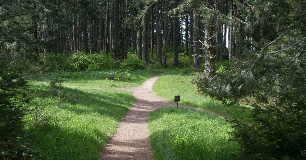 Old Pine, Sky, and Meadow Loop | Trail Report and GPS