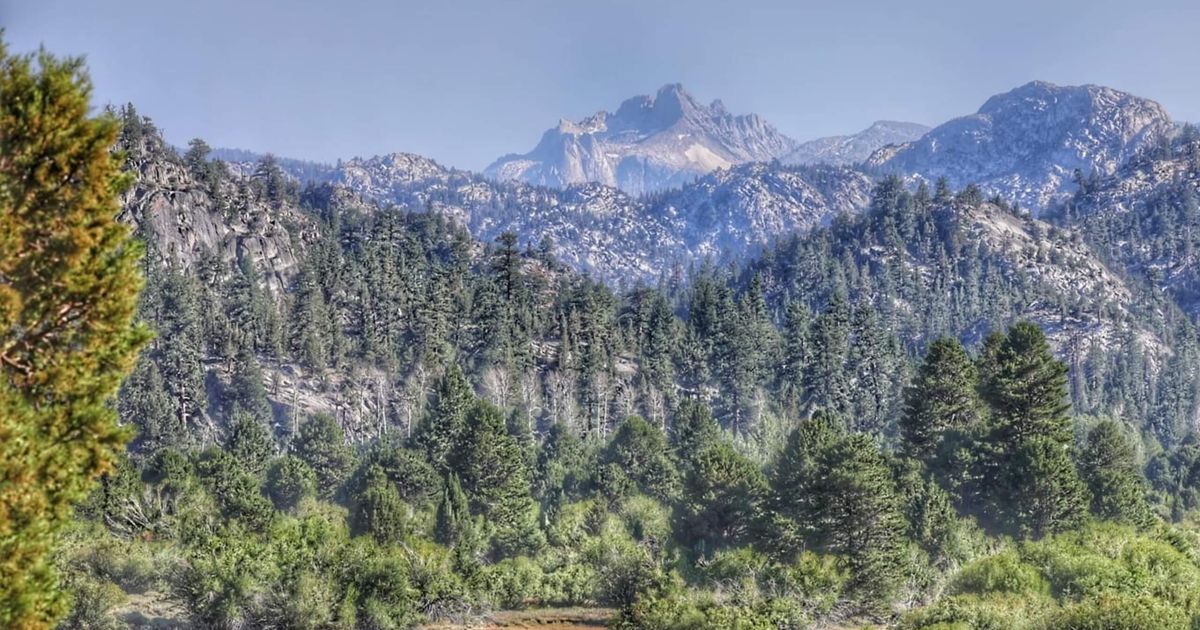 Sonora Peak Hike | Ascend the Highest Peak in Stanislaus NF