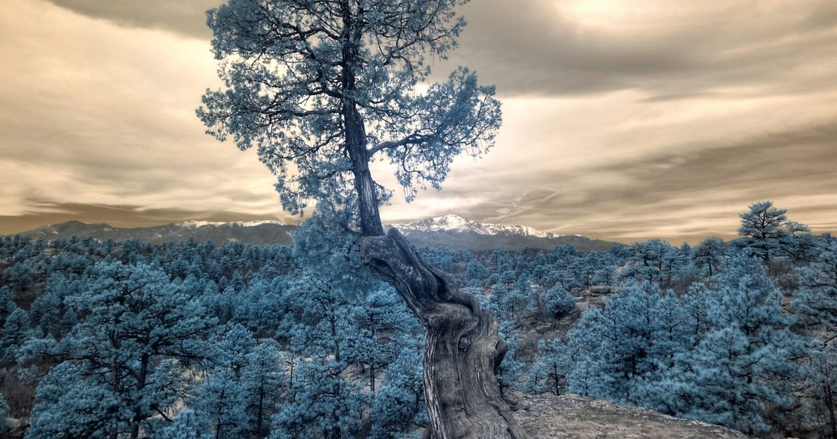 Cheyenne and Grandview Loop Trail | Colorado Springs