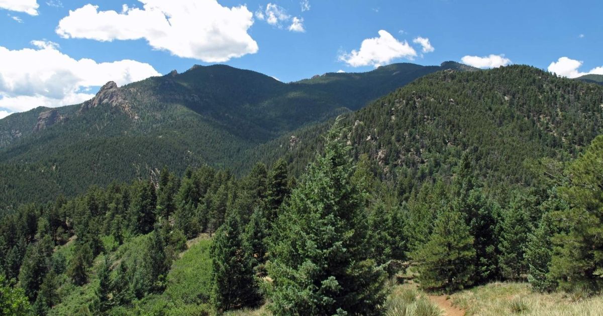Intemann Loop Trail |Manitou Section 16 Open Space