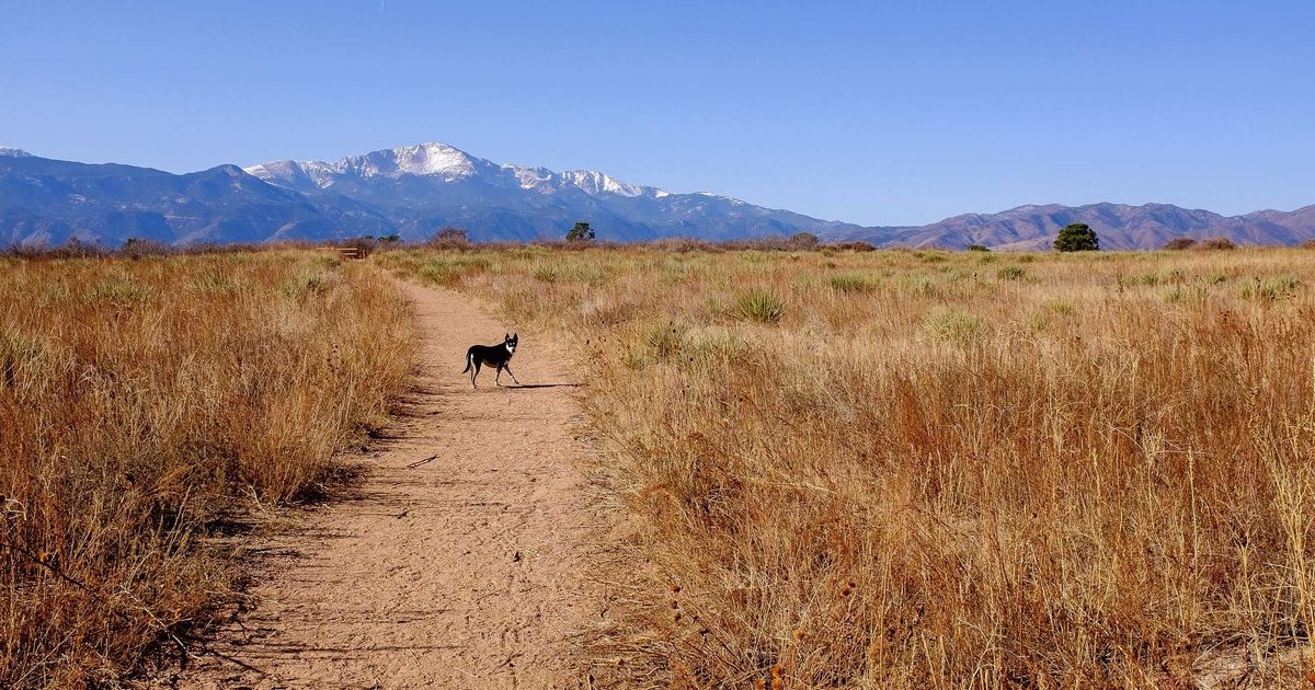 A Guide to the Palmer Park Outer Loop