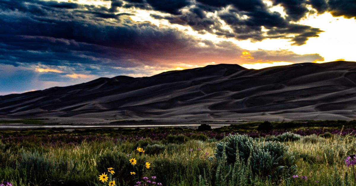 Sand Ramp Trail | Great Sand Dunes National Park and Preserve