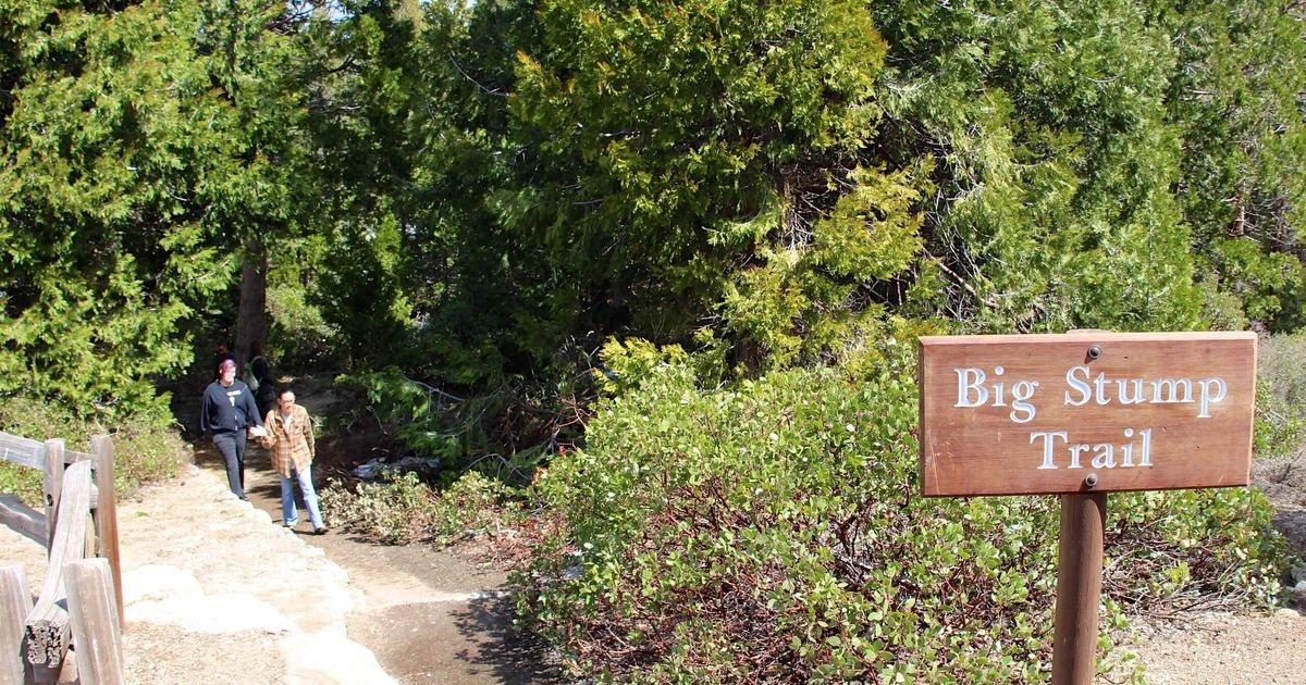 A Guide to the Big Stump Trail | A Family-Friendly Hike