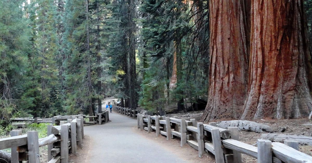 General Sherman Trail via Generals Highway