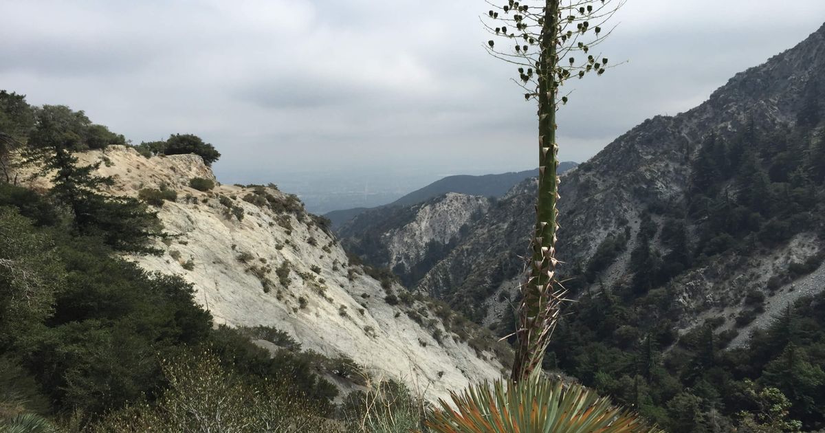 Mount Lowe Canyon Loop Trail | Altadena, California