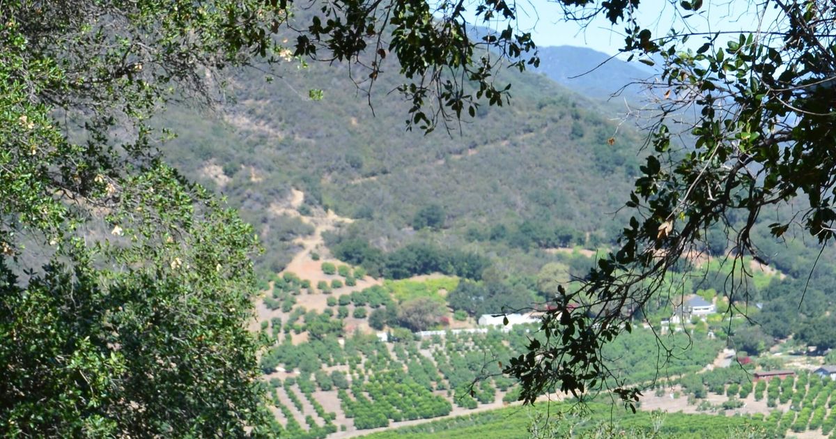 A Guide to the Cozy Dell Trail | Los Padres National Forest