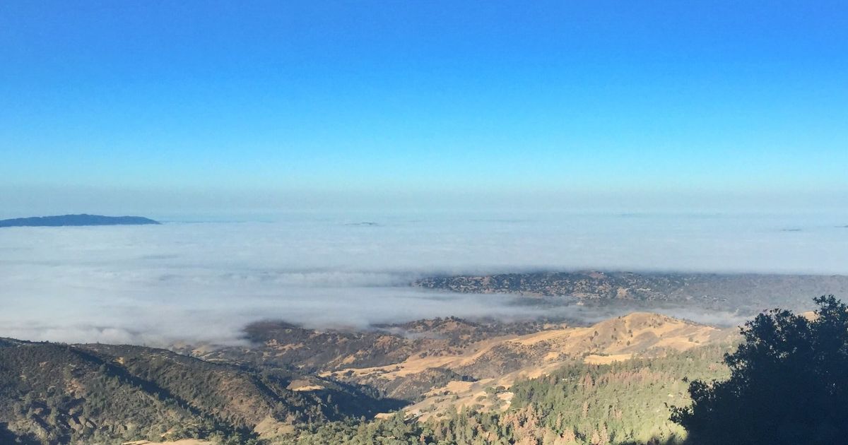 Figueroa Mountain Hike | Indulge Yourself in Beautiful Scenery
