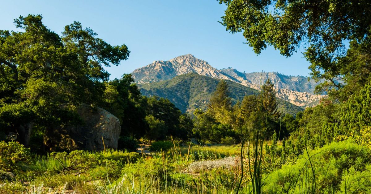 Santa Barbara Botanic Garden Trail