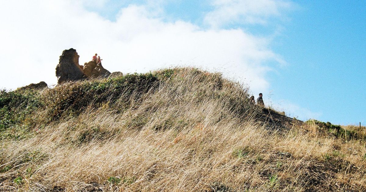 A Guide to the Corona Heights Trail | An Urban Adventure