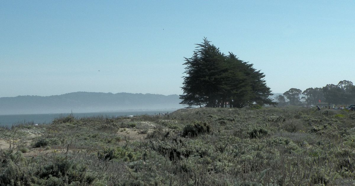 A Guide to the Presidio Loop Trail | Bay Area Hikes