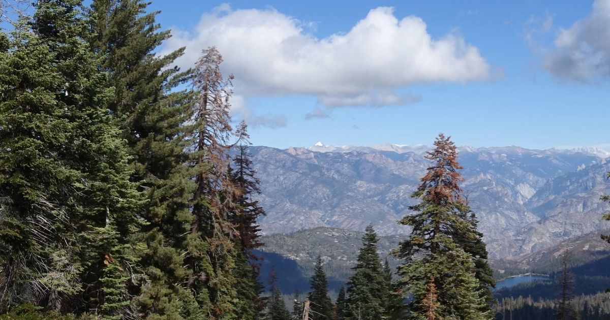 Panoramic Point to Park Ridge Hike
