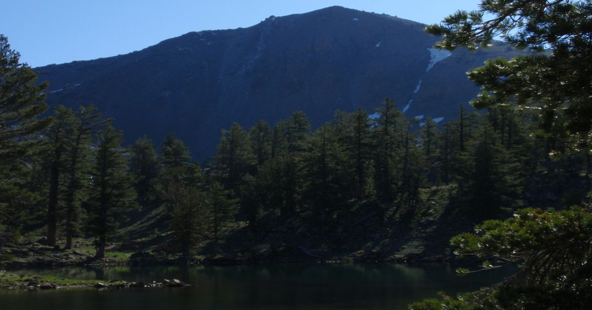 A Guide to the Sisson Callahan Trail