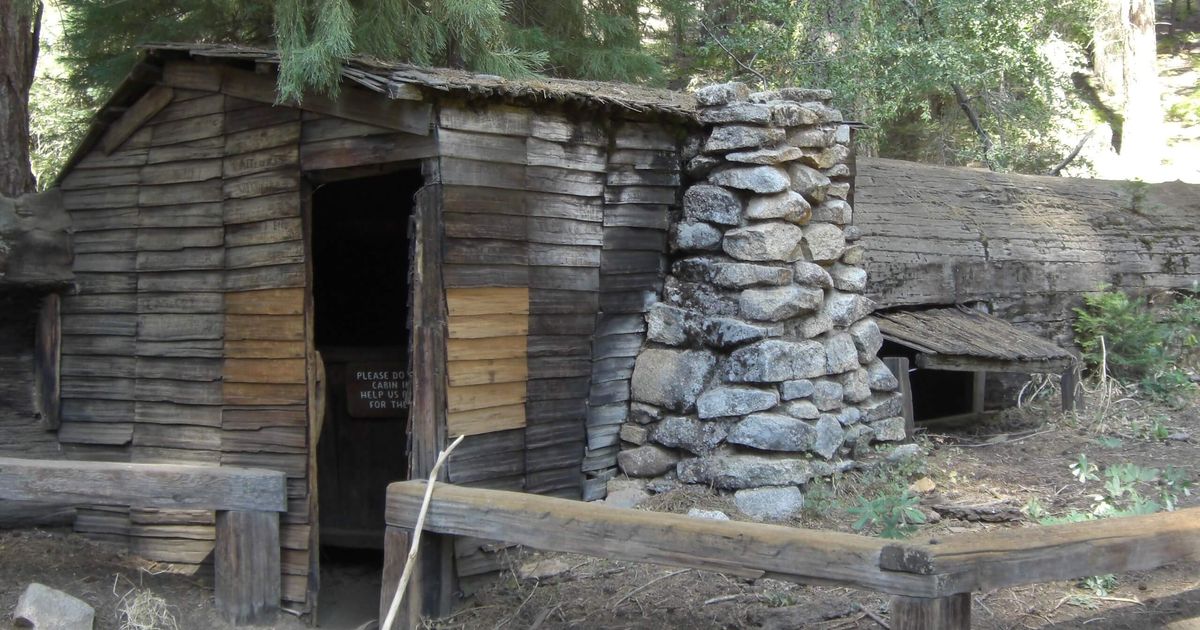 Tharp’s Log Trail | Explore a Forest of Giant Sequoias