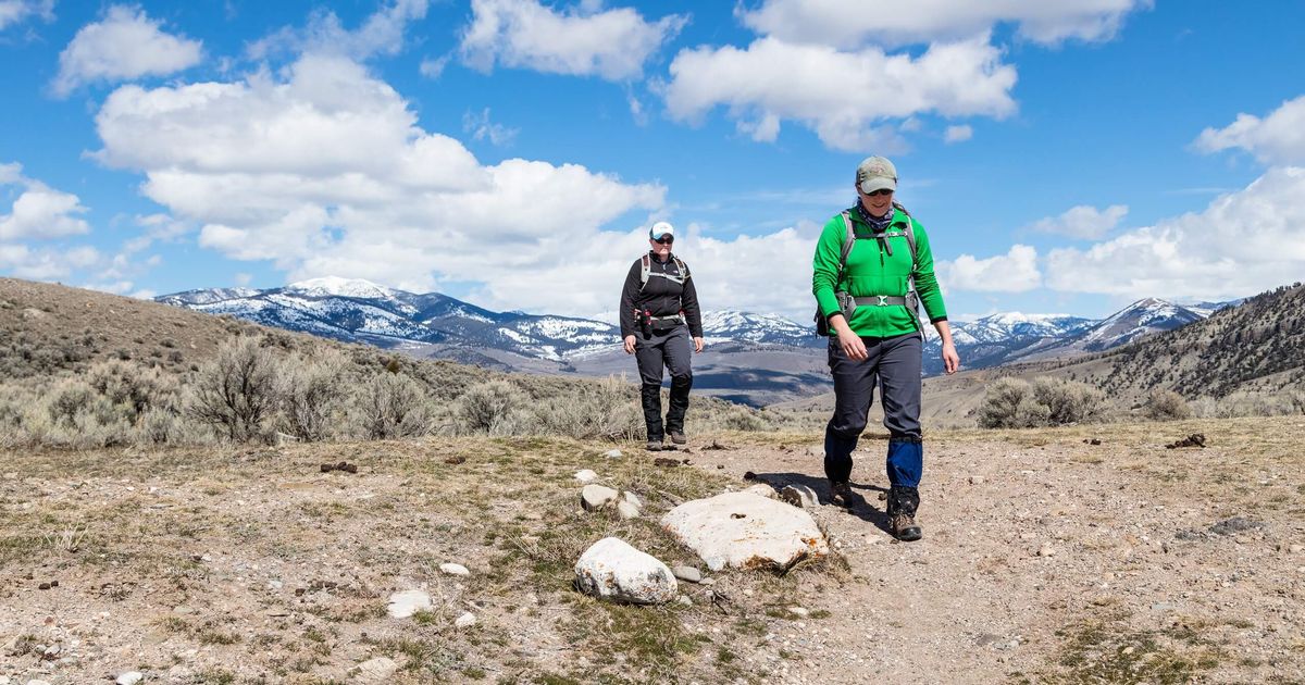 Explore the Beaver Ponds Loop: Scenic Hiking in Yellowstone