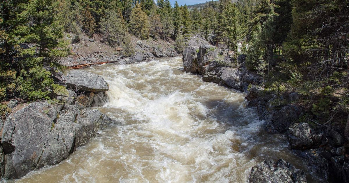 Hike the Hellroaring Creek Trail to the Yellowstone River