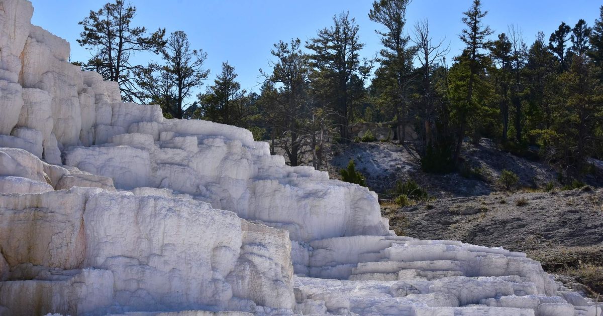 Explore the Mammoth Terraces: Upper Terrace Hiking Loop