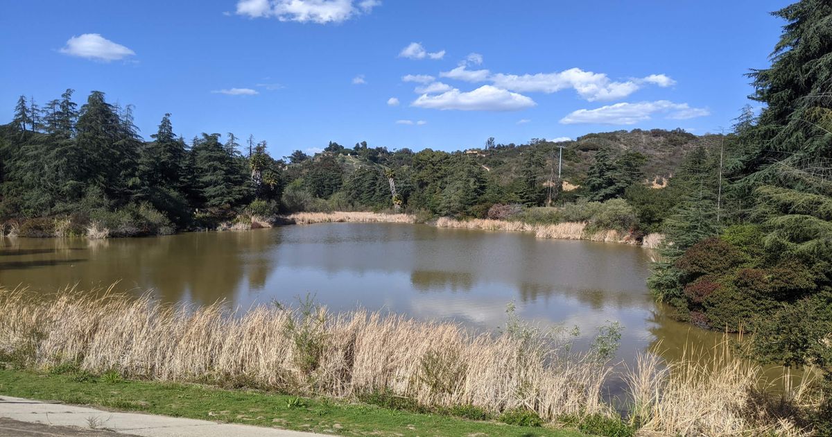 Franklin Canyon Site Trail | A Lovely Los Angeles Hike