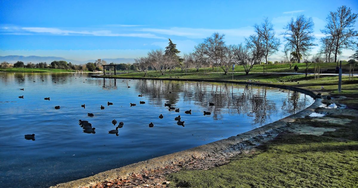 Lake Balboa Trail | Walk Around a Charming Lake in L.A.
