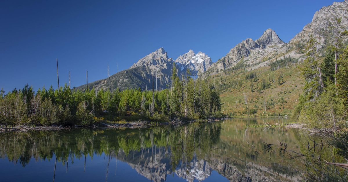 Hidden Falls via String Lake Hike | A Scenic Adventure