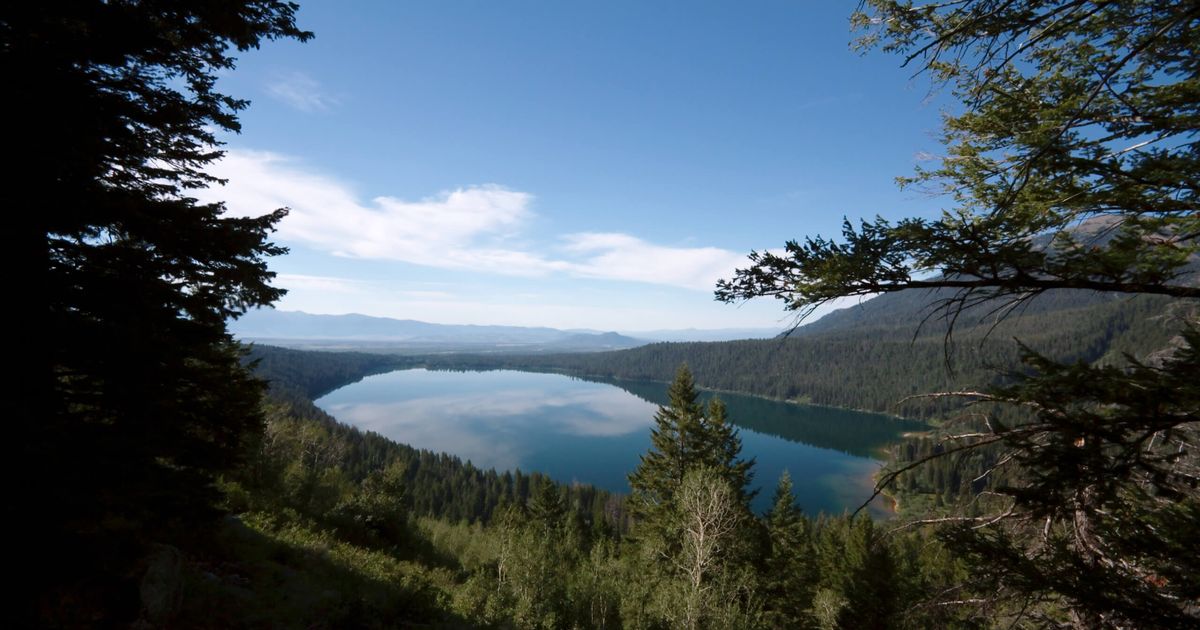 Phelps Lake Overlook Hike | Admire the Beautiful Landscape
