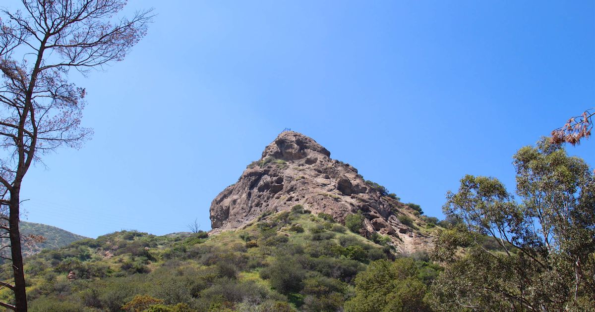 The Bee Rock Loop Hike | Explore Griffith Park in L.A.