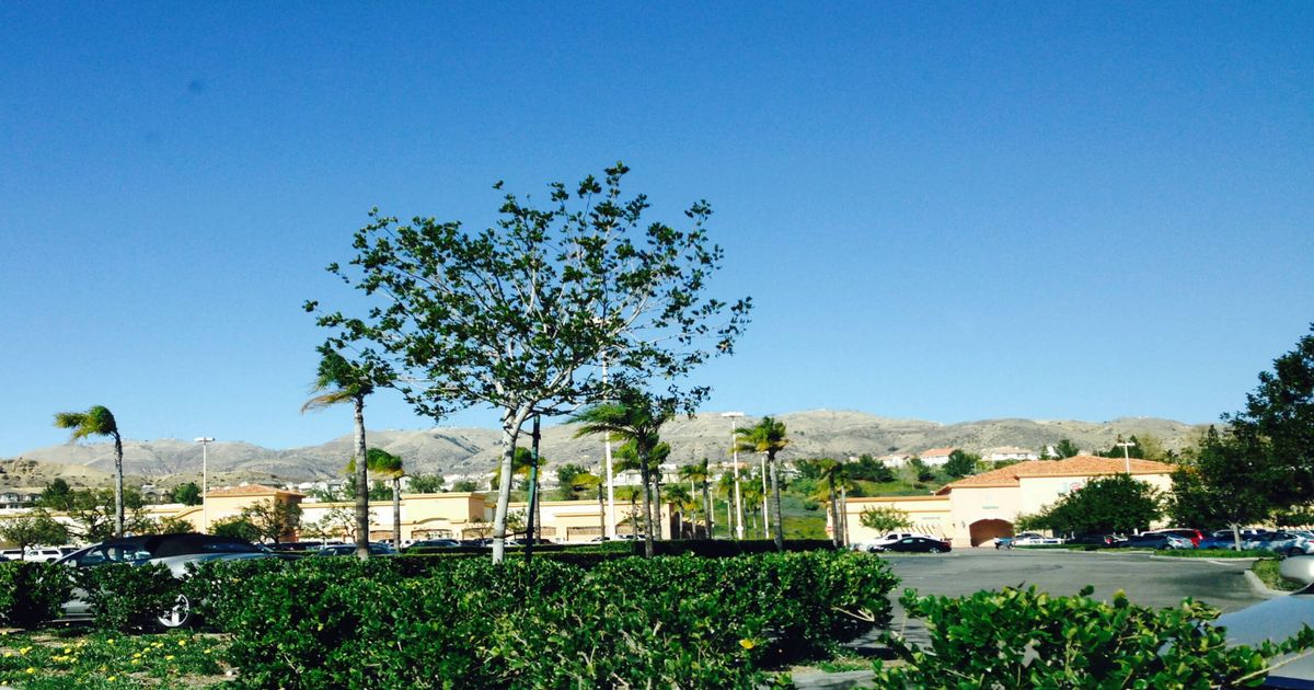 The Porter Ranch Palisades Trail | California, USA