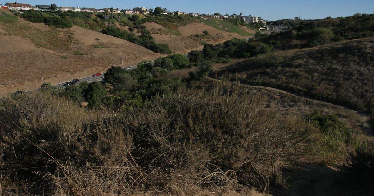 The Stocker Corridor Trail | Beautiful L.A. Scenery