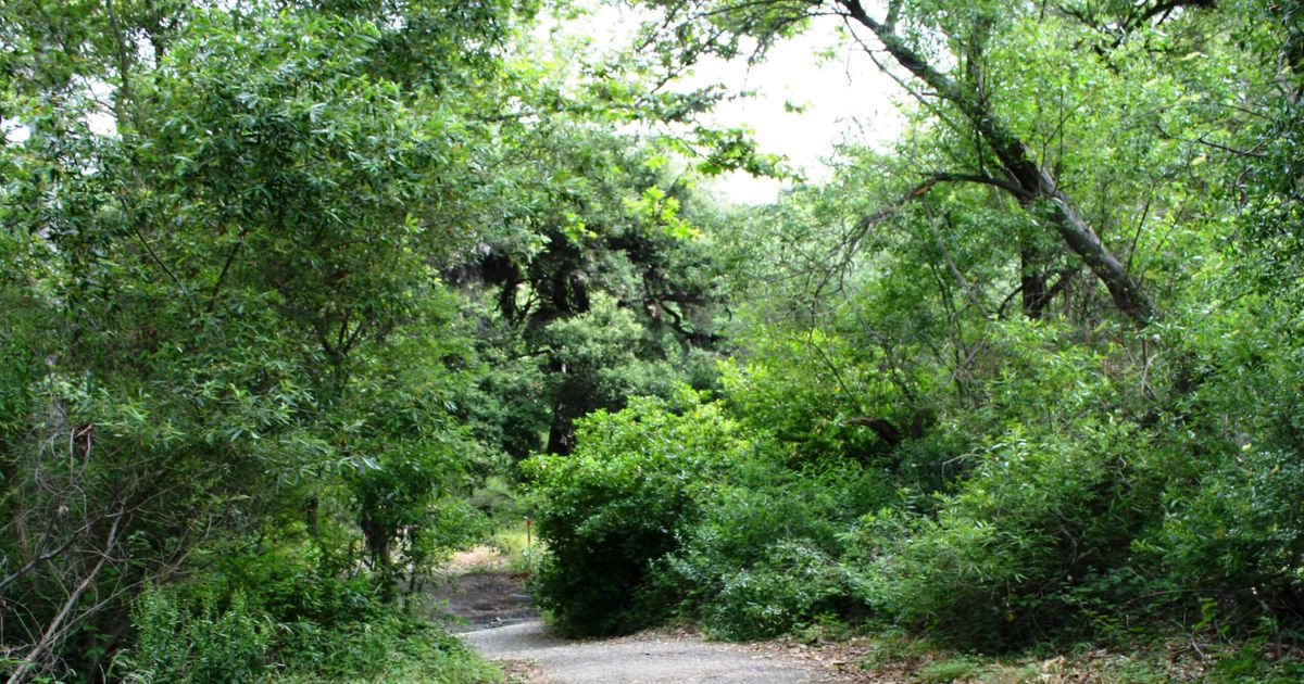 Sullivan Canyon Loop Hike | A Rugged L.A. Adventure | 10Adventures