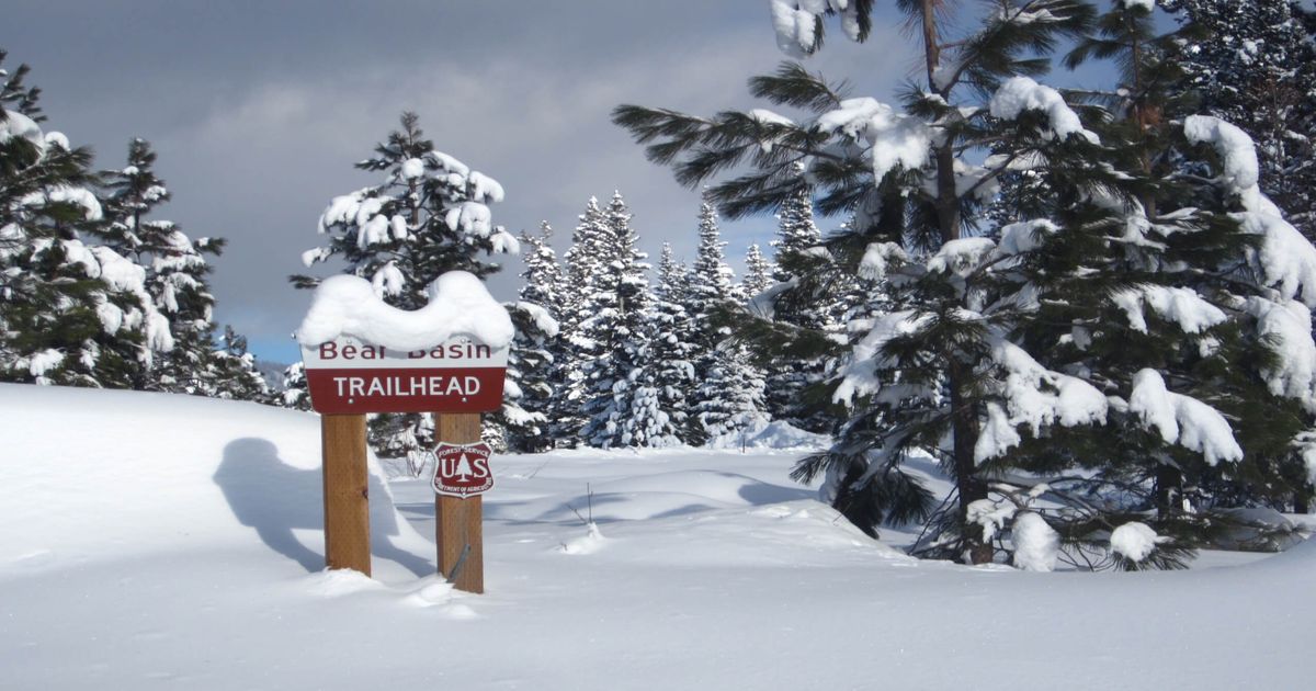 A Guide to the Bear Basin Loop | Hike, Bike, or Ski